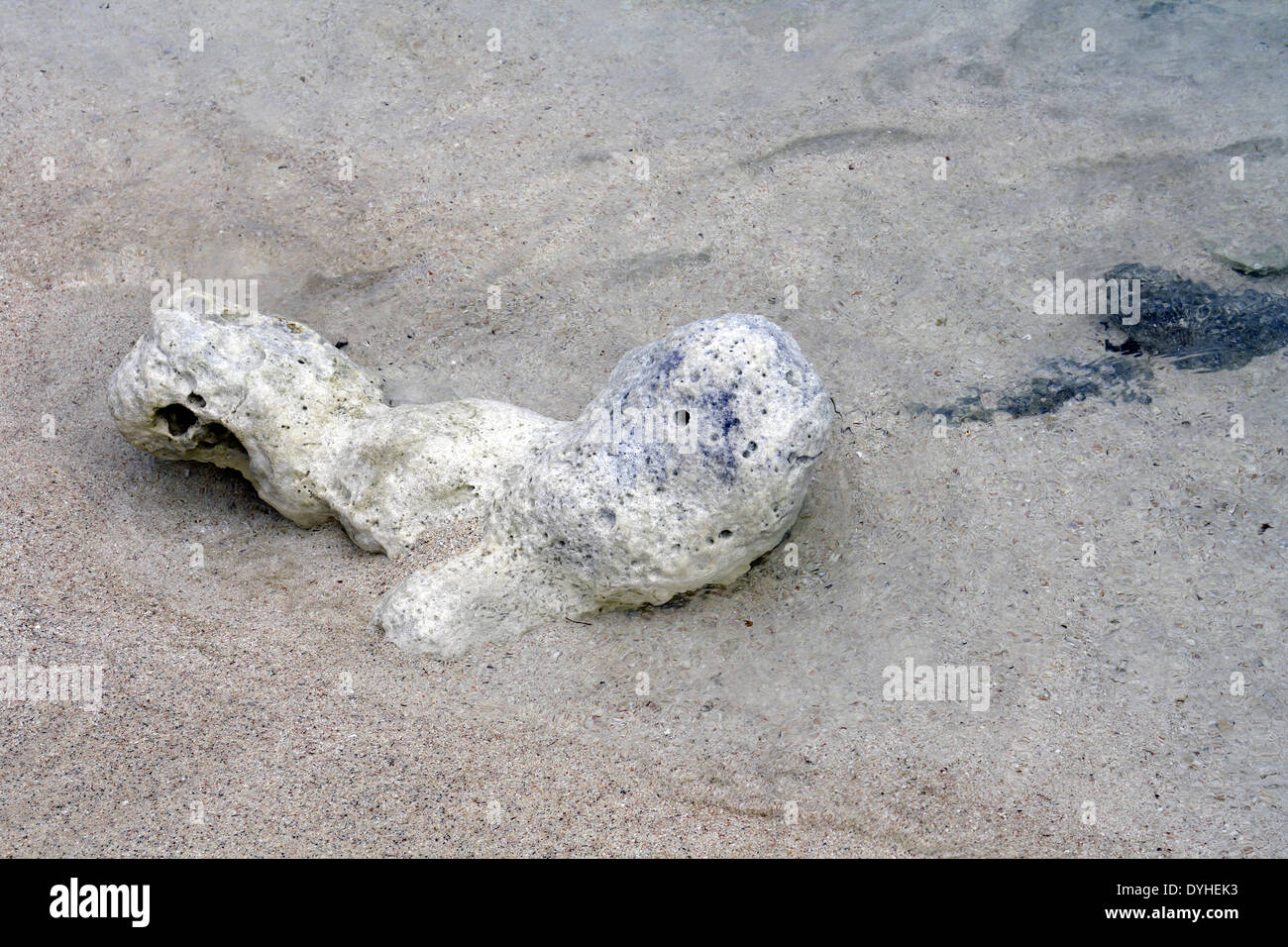 Coral formation hi-res stock photography and images - Alamy