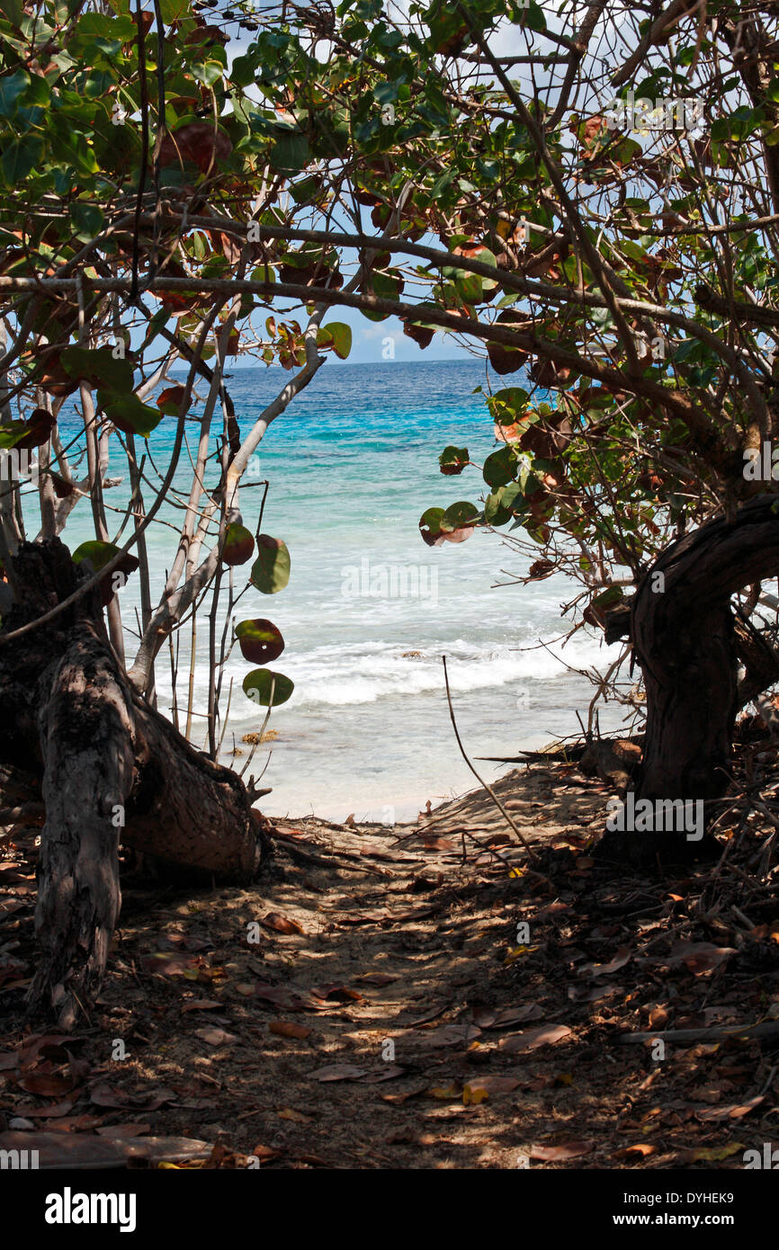 Isla Culebra Puerto Rico USA path to beach Zoni Beach Stock Photo - Alamy