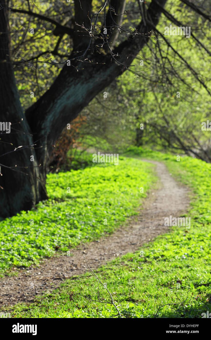 Spring Park nature background Stock Photo - Alamy