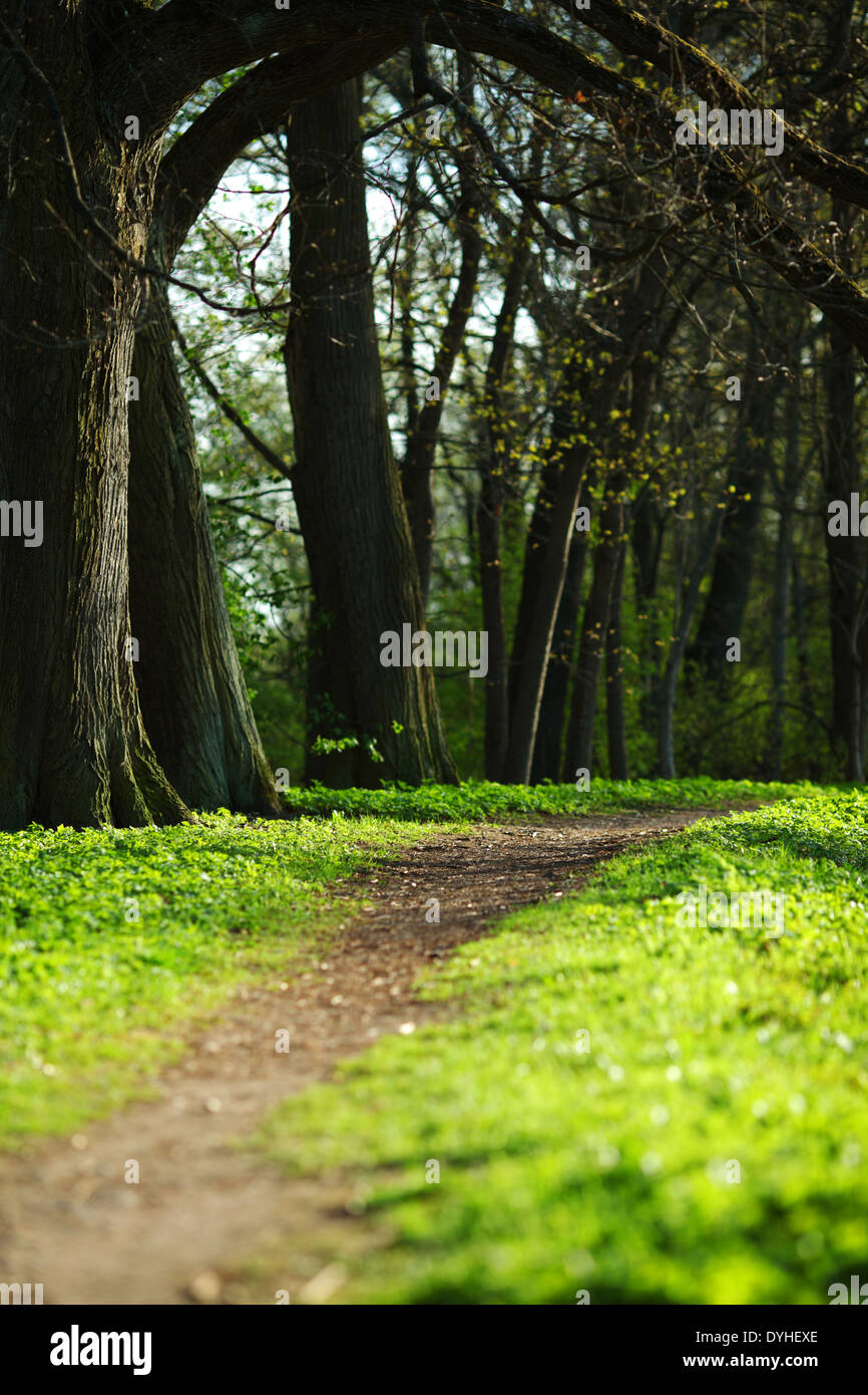 Spring Park nature background Stock Photo - Alamy