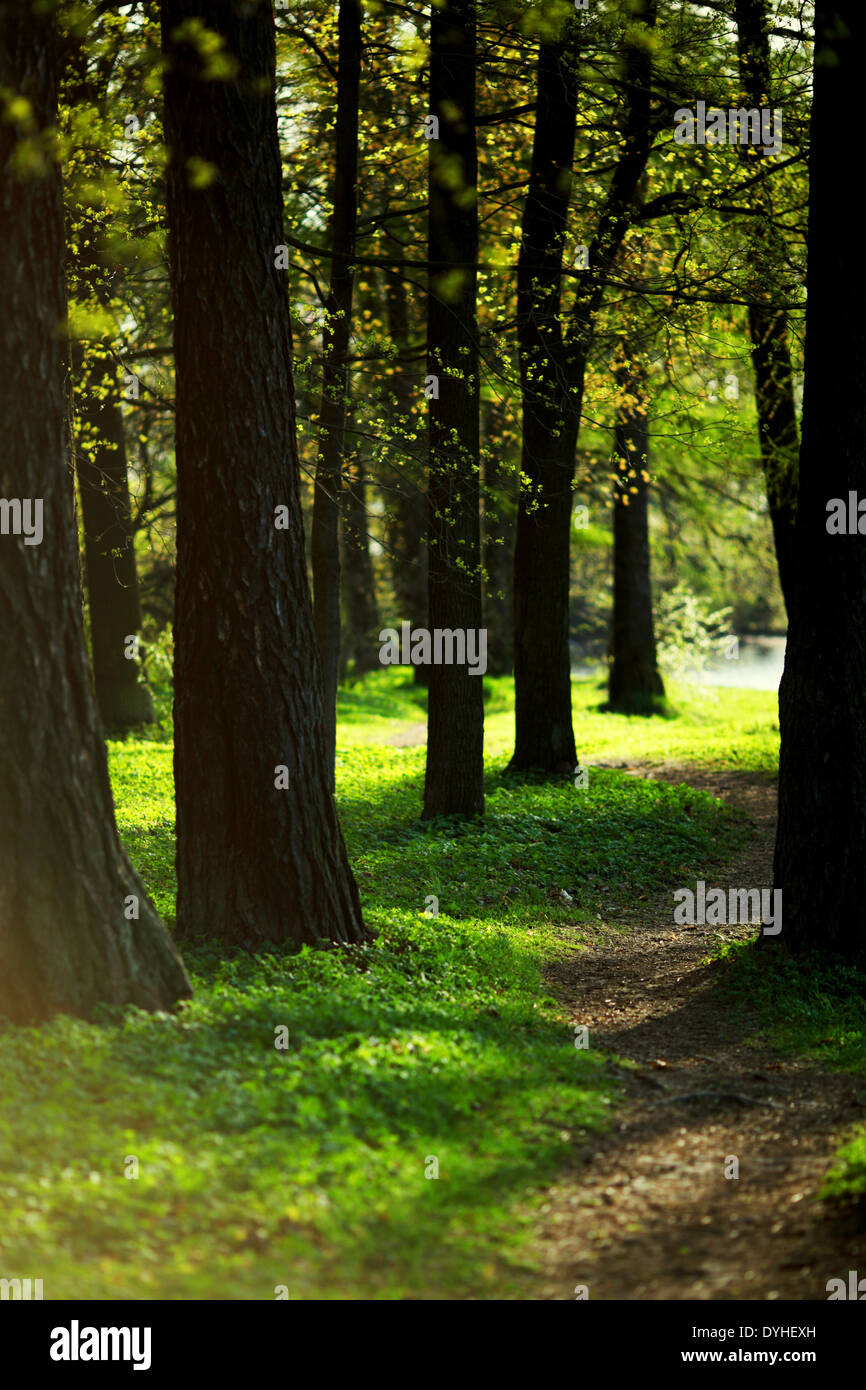 Spring Park nature background Stock Photo - Alamy