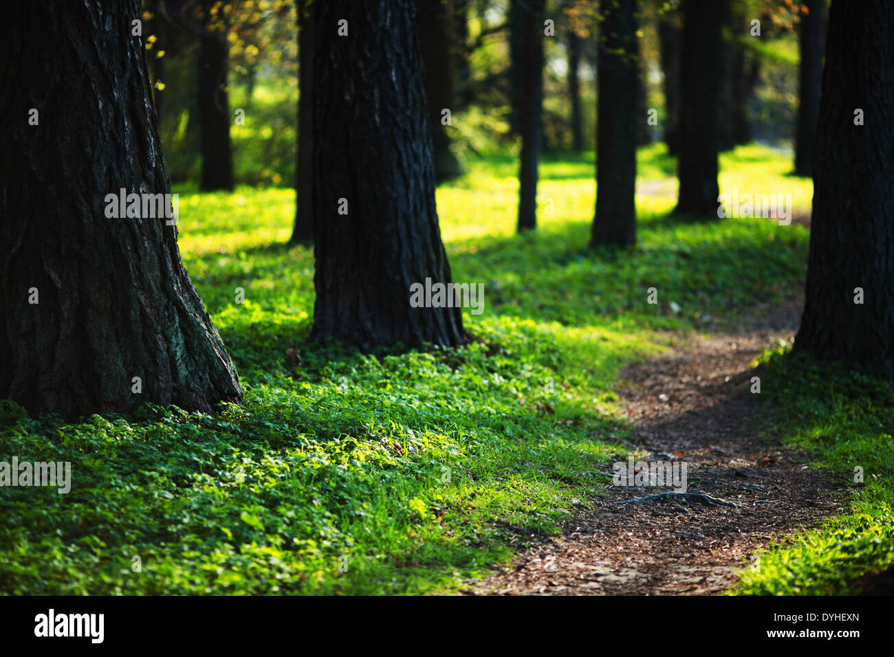 Spring Park nature background Stock Photo - Alamy