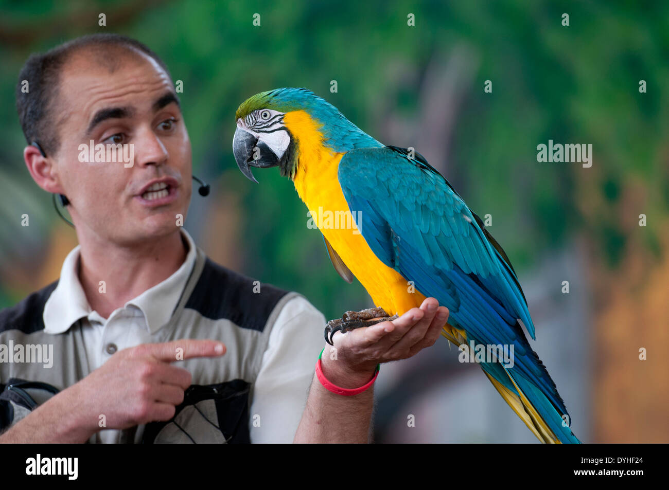 Things to do in algarve hi-res stock photography and images - Alamy