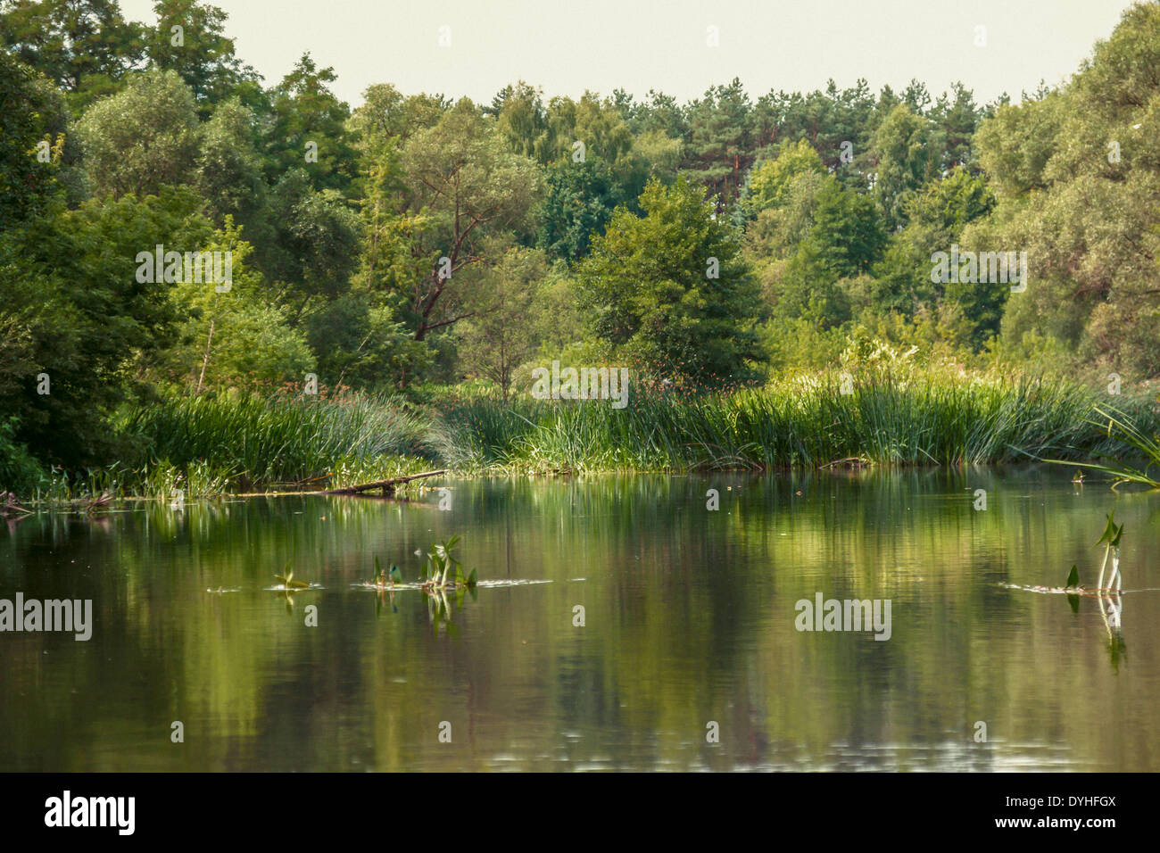 Wkra river hi-res stock photography and images - Alamy