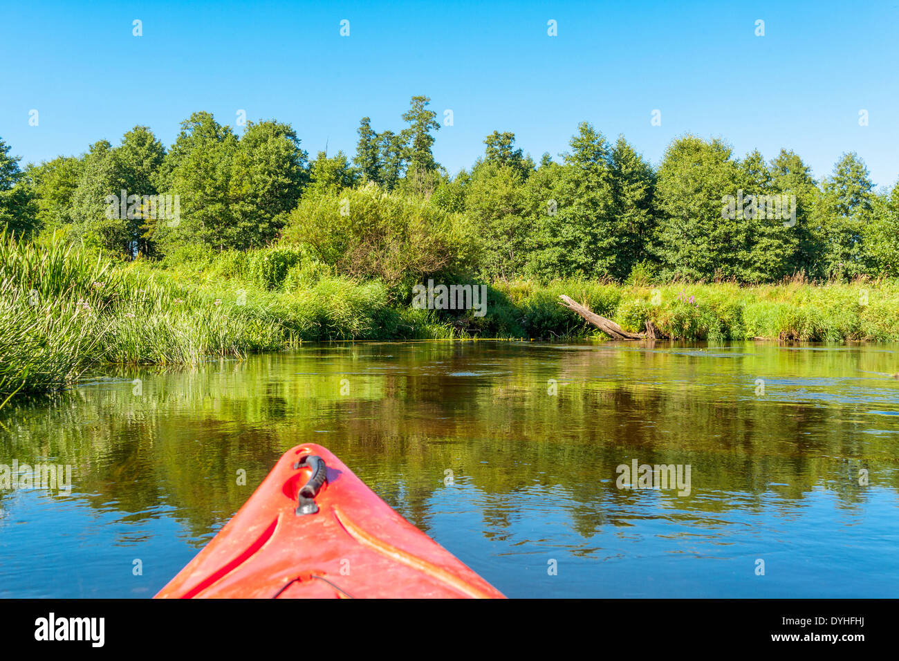 Kayaking Wkra river, Poland Stock Photo - Alamy