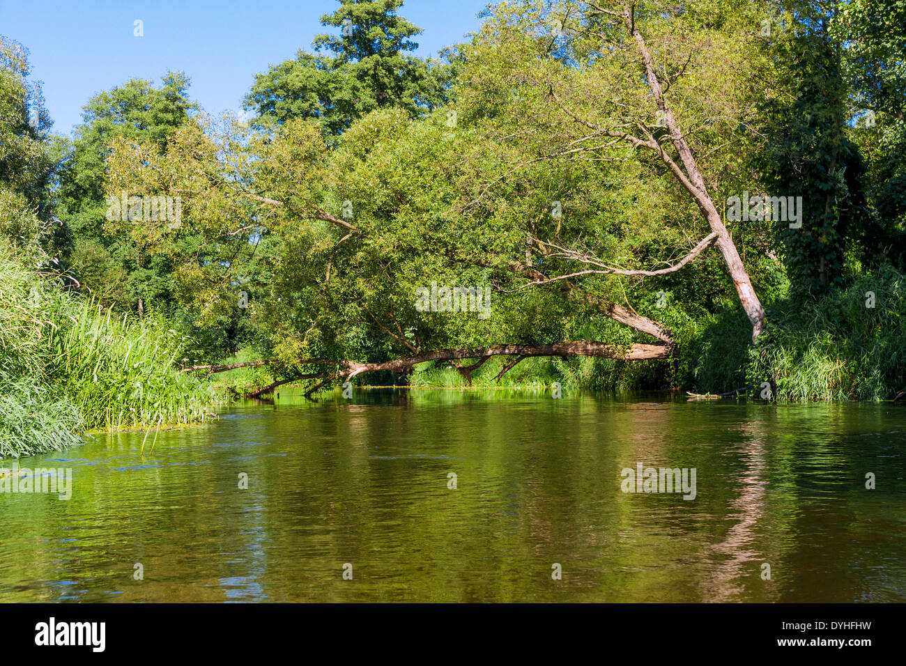 Wkra river, Poland Stock Photo - Alamy