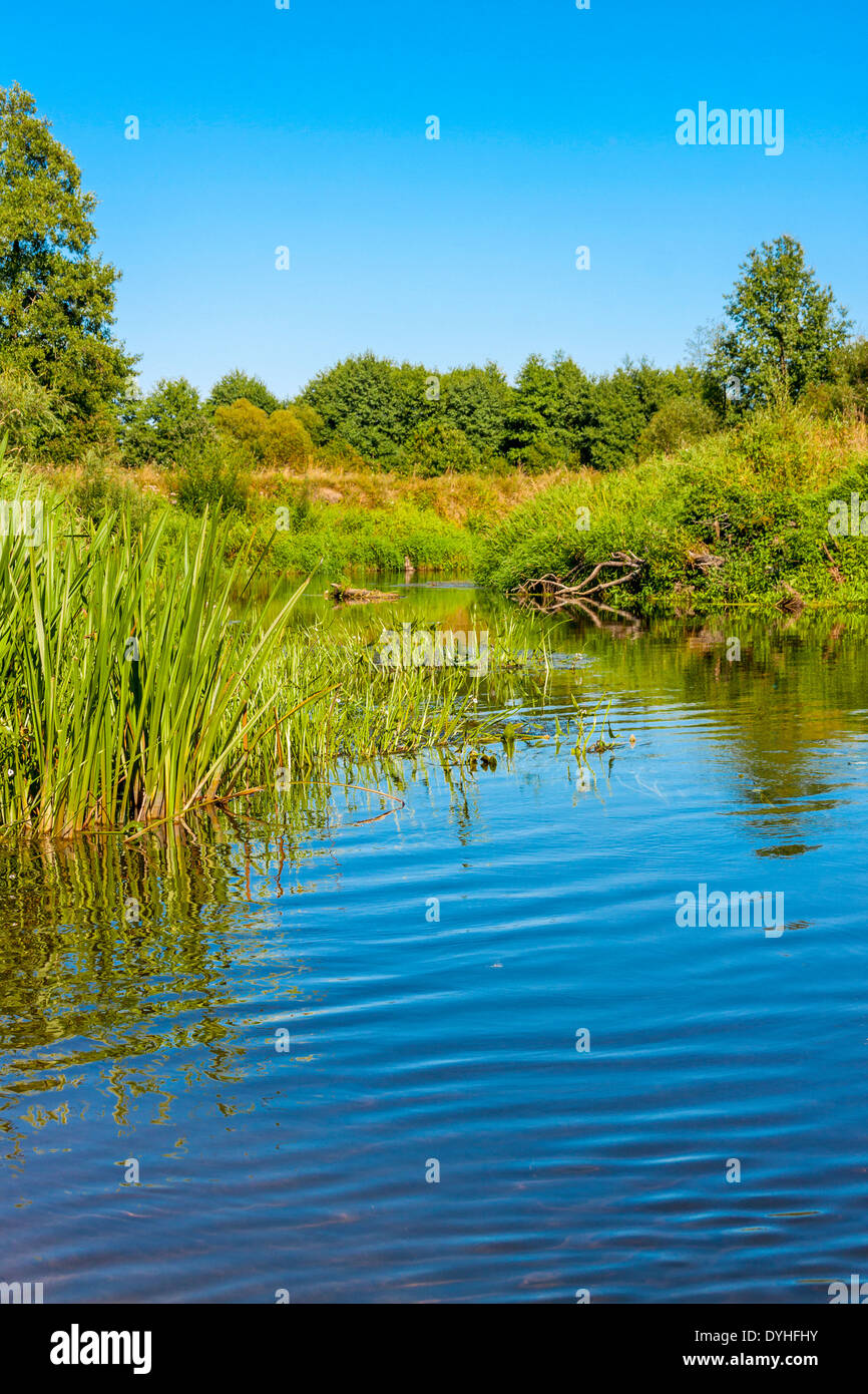 Wkra river, Poland Stock Photo - Alamy