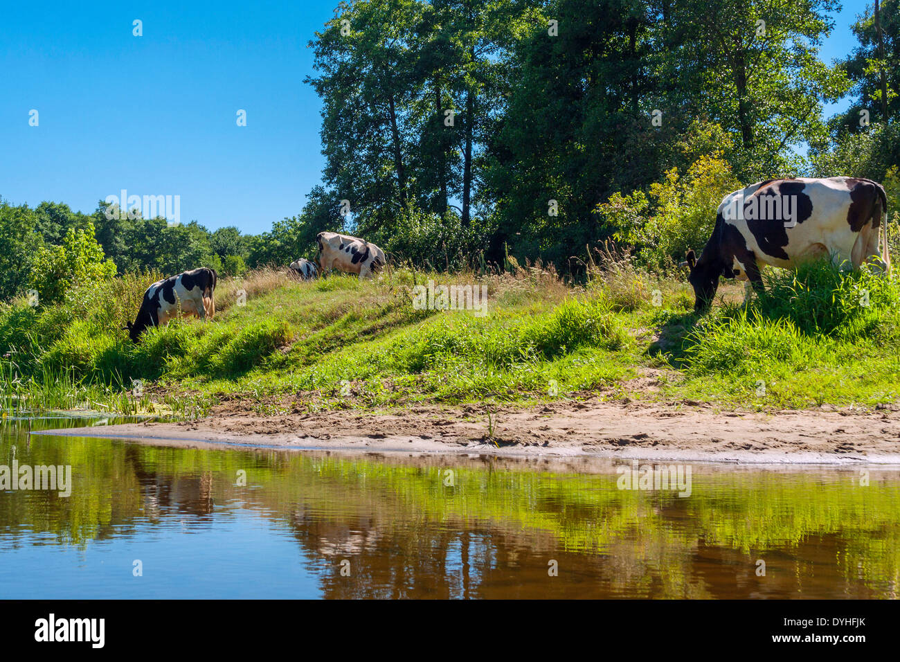Wkra river hi-res stock photography and images - Alamy