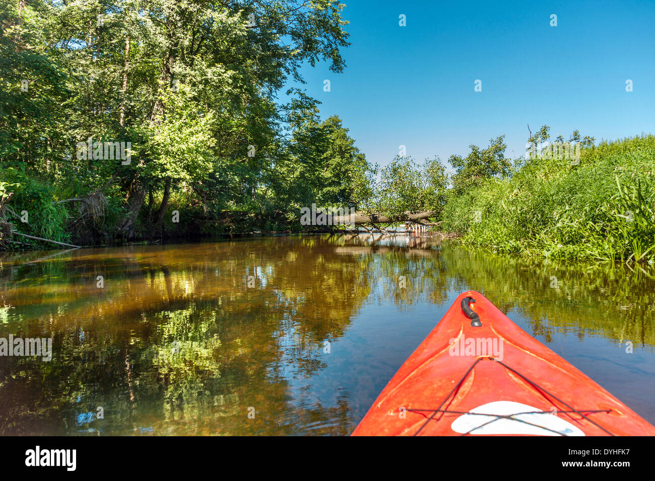 Kayak reaching fallen tree on Wkra river, Poland Stock Photo - Alamy