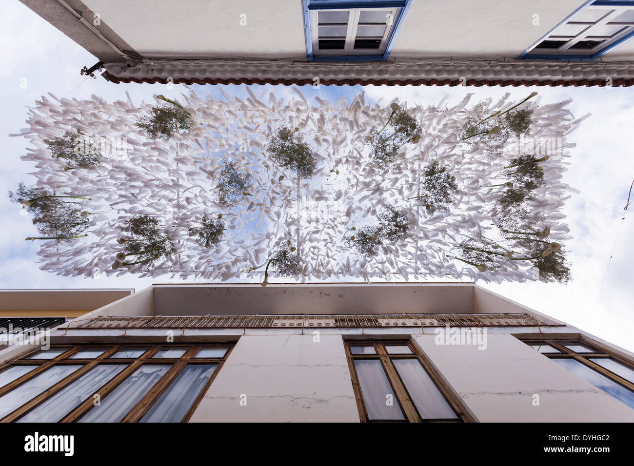 Canopy over the cross hi-res stock photography and images - Alamy