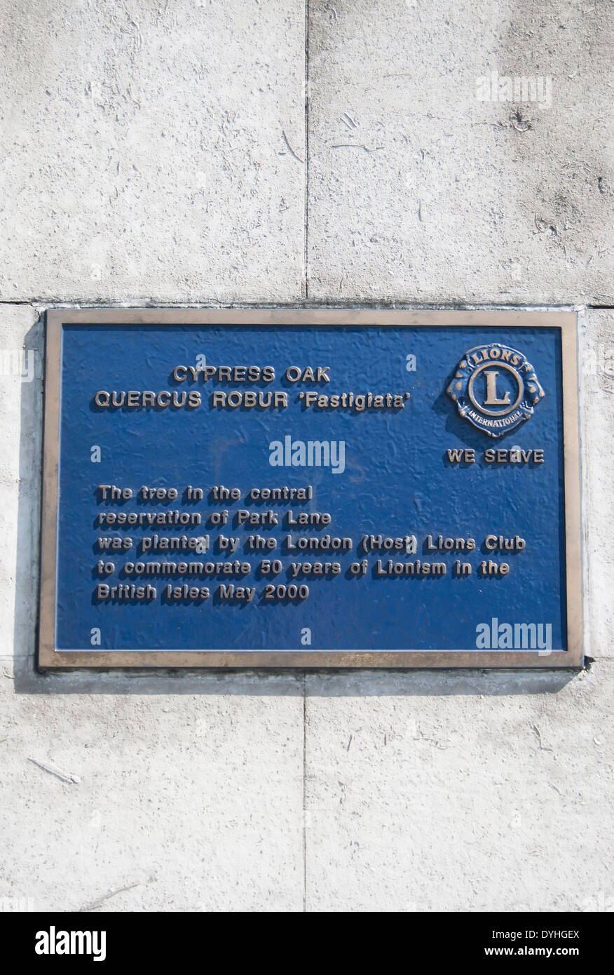 Lionism hi-res stock photography and images - Alamy