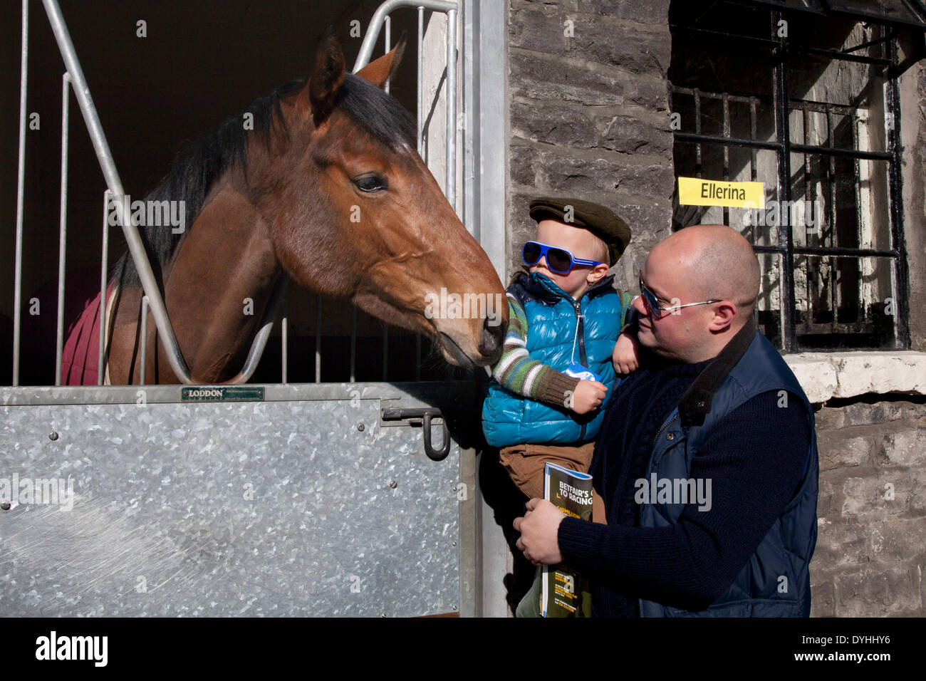 Animal humour Middleham, Yorkshire, UK. 18th April 2014. Young Archie ...