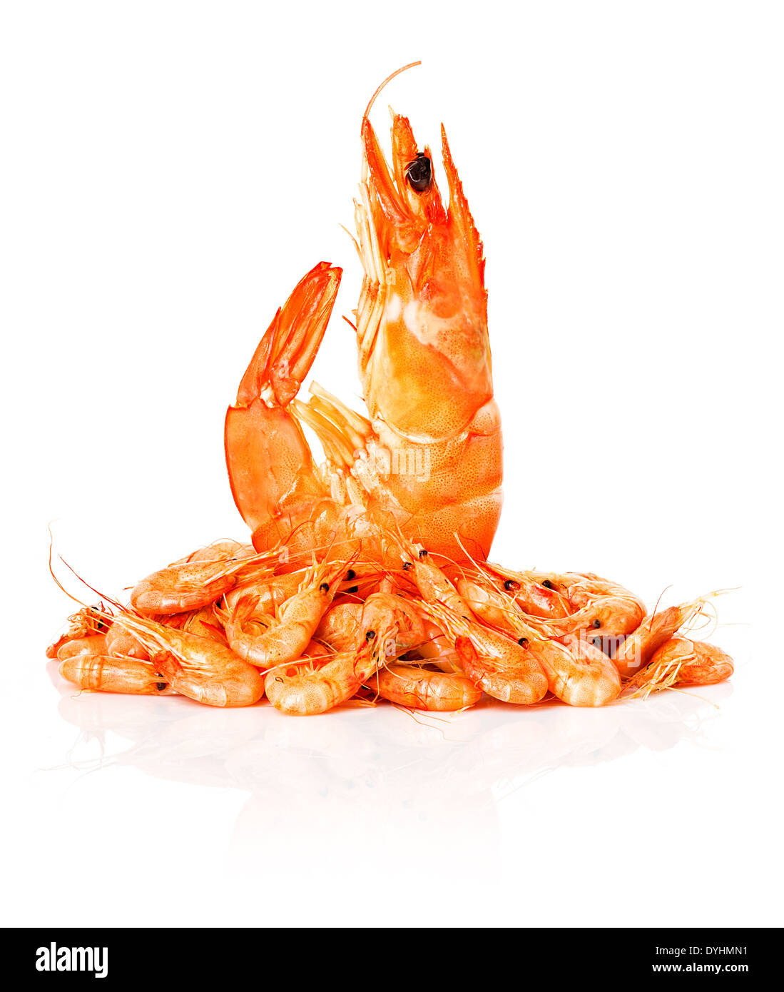 fresh shrimp close-up isolated on white background Stock Photo - Alamy