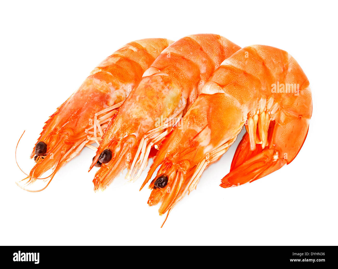 fresh shrimp close-up isolated on white background Stock Photo - Alamy