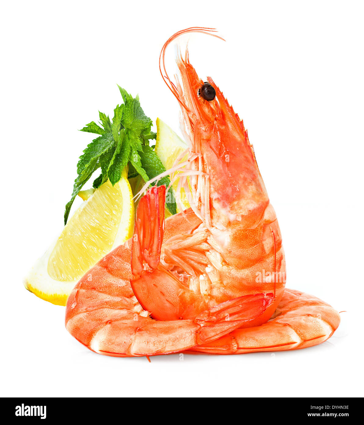 fresh shrimp close-up isolated on white background Stock Photo - Alamy