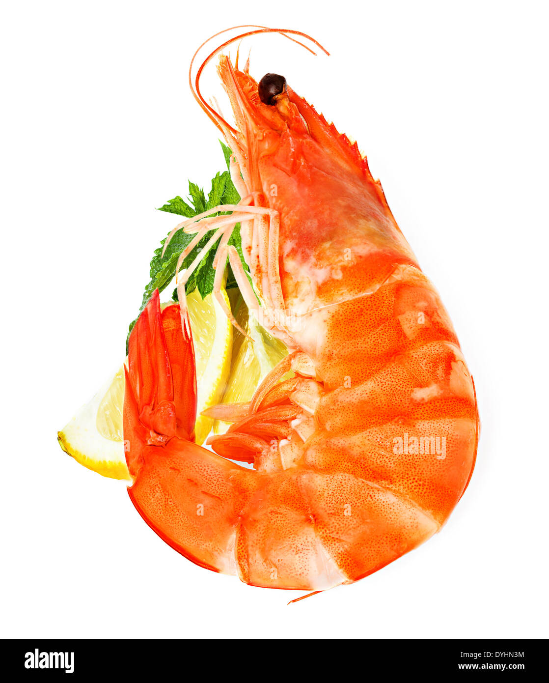 fresh shrimp close-up isolated on white background Stock Photo - Alamy