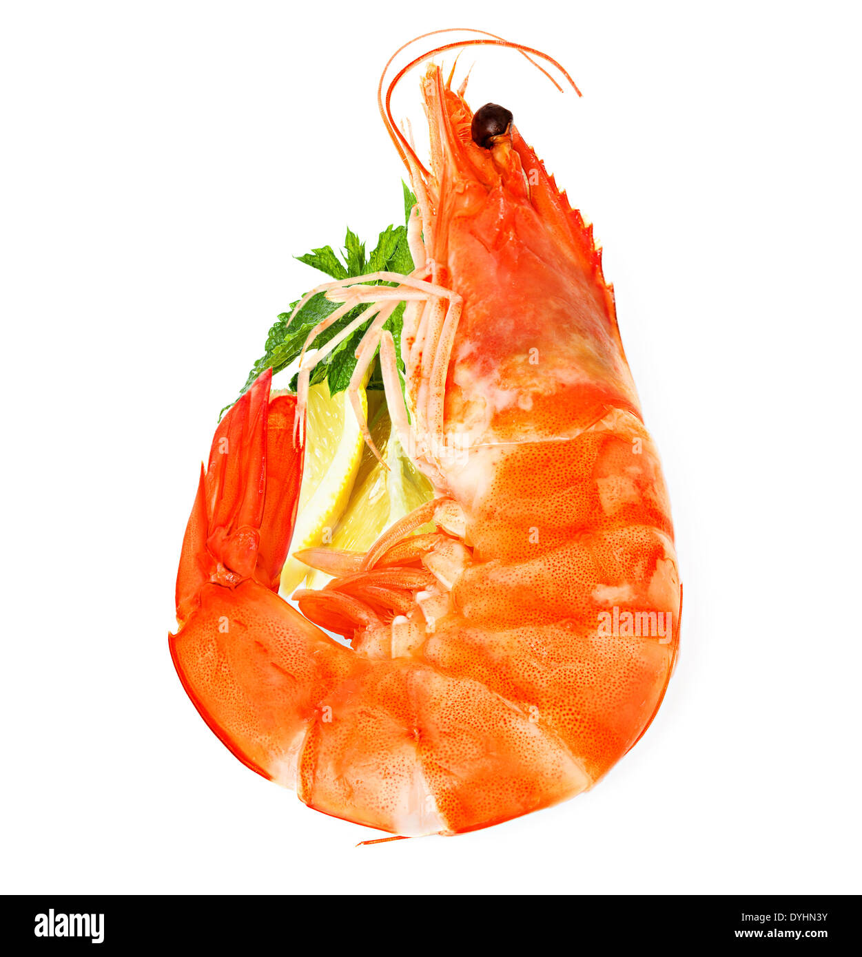 fresh shrimp close-up isolated on white background Stock Photo - Alamy