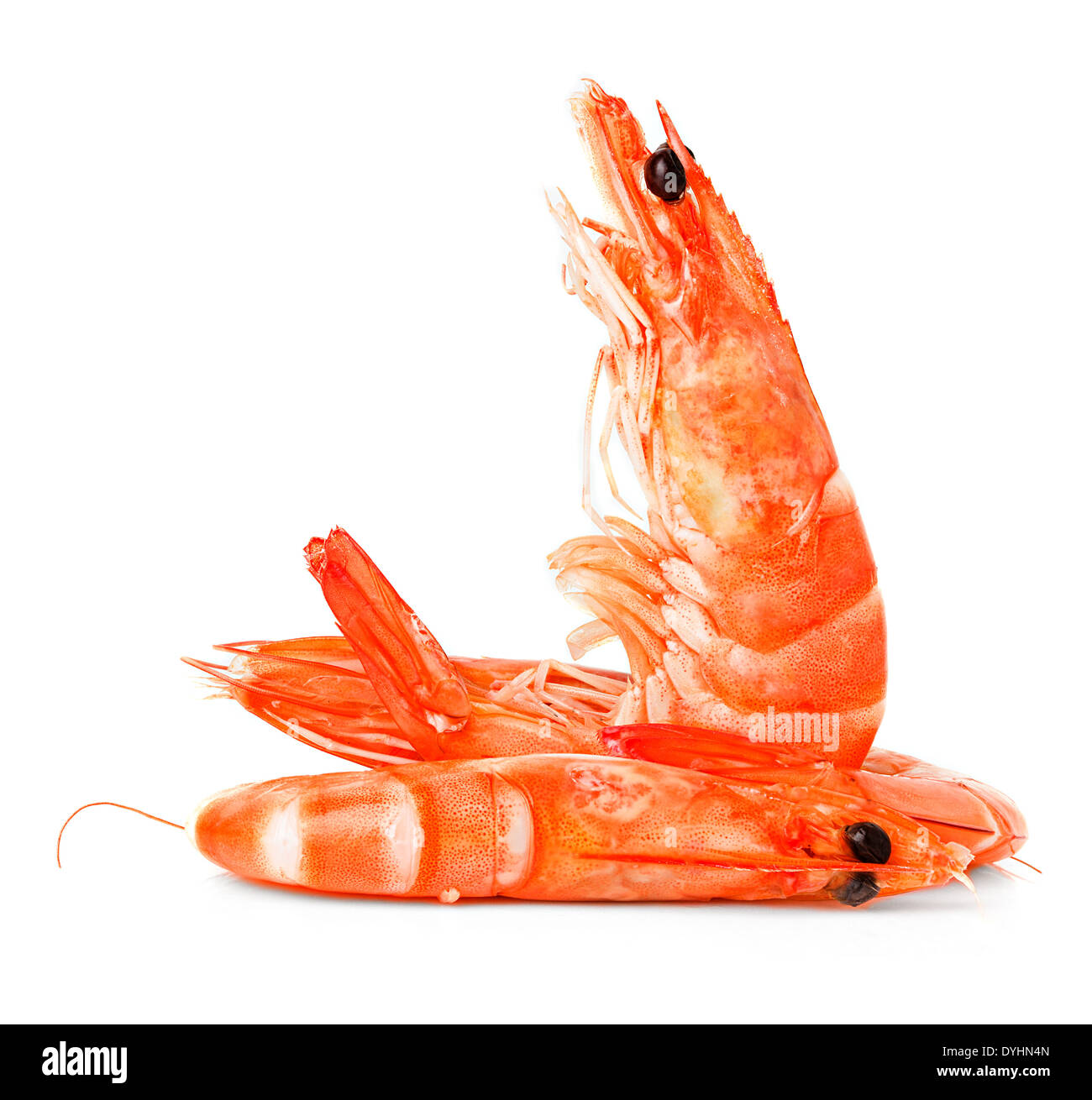fresh shrimp close-up isolated on white background Stock Photo - Alamy