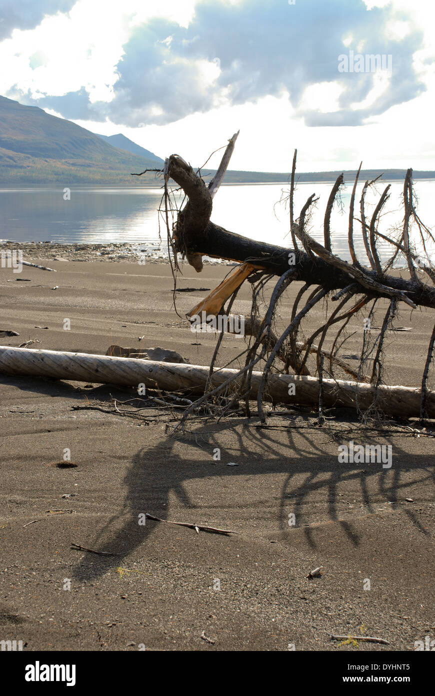 Lake Lama. The object of the world natural heritage of UNESCO ...