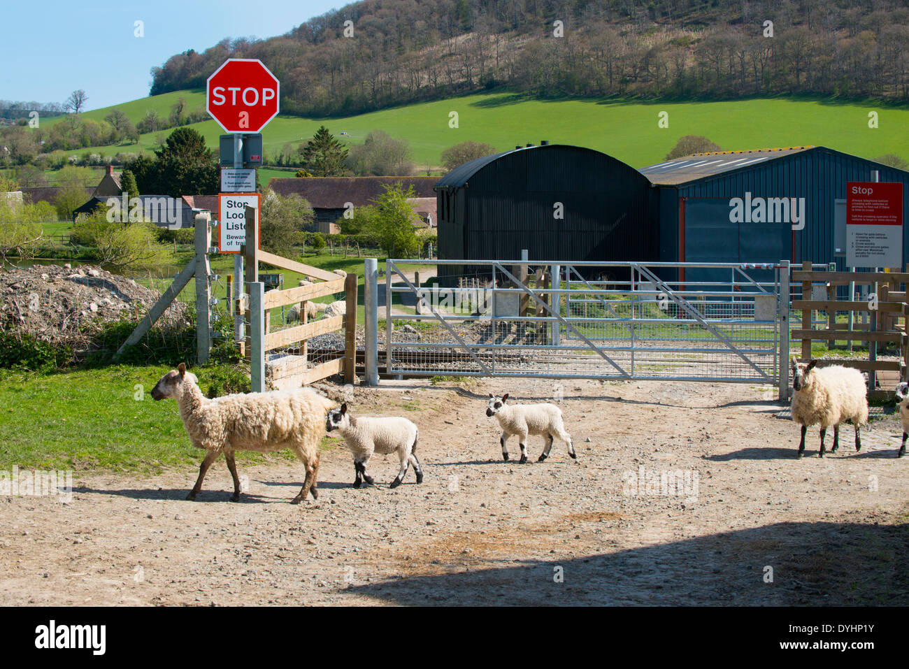 Farm crossing hi-res stock photography and images - Alamy