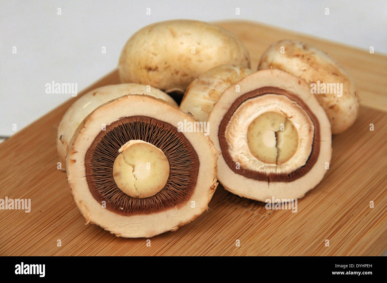 Button mushrooms hi-res stock photography and images - Alamy