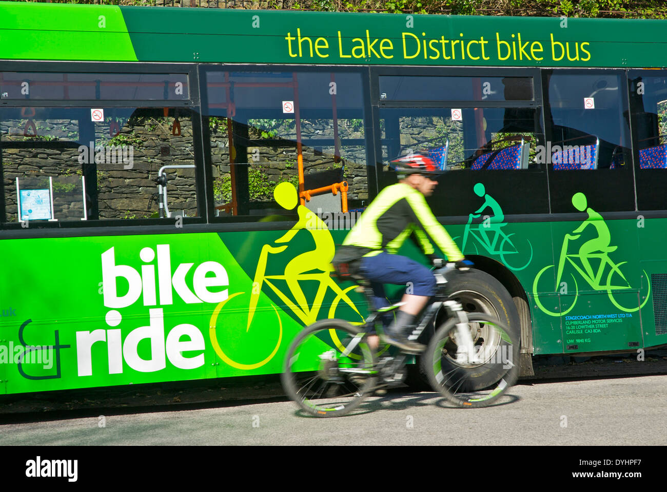 Cyclist passing Bike & Ride bus, Lake District National Park, Cumbria ...