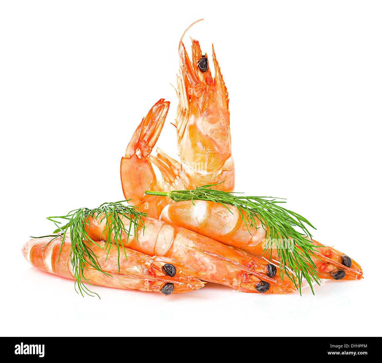 fresh shrimps isolated Stock Photo - Alamy