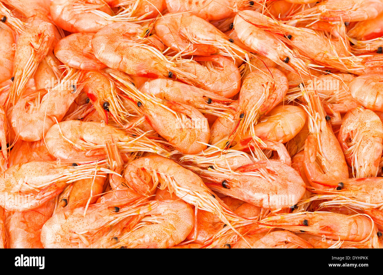 Shrimp cocktail background with a close up Stock Photo - Alamy