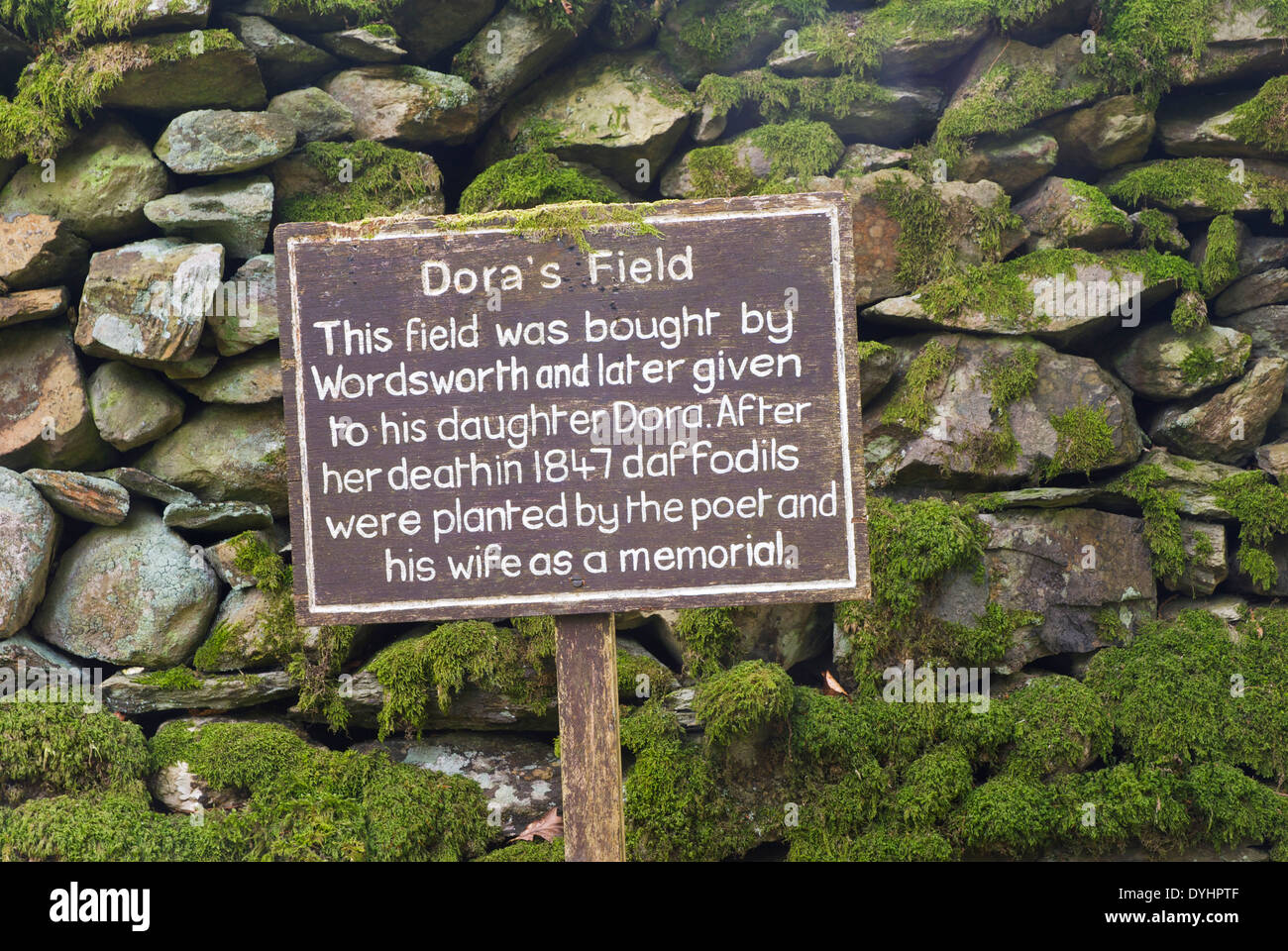 Doras field wordsworth rydal hi-res stock photography and images - Alamy