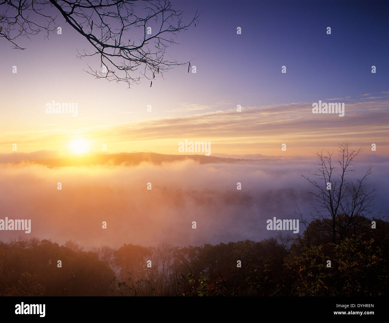 Fredonia hi-res stock photography and images - Alamy