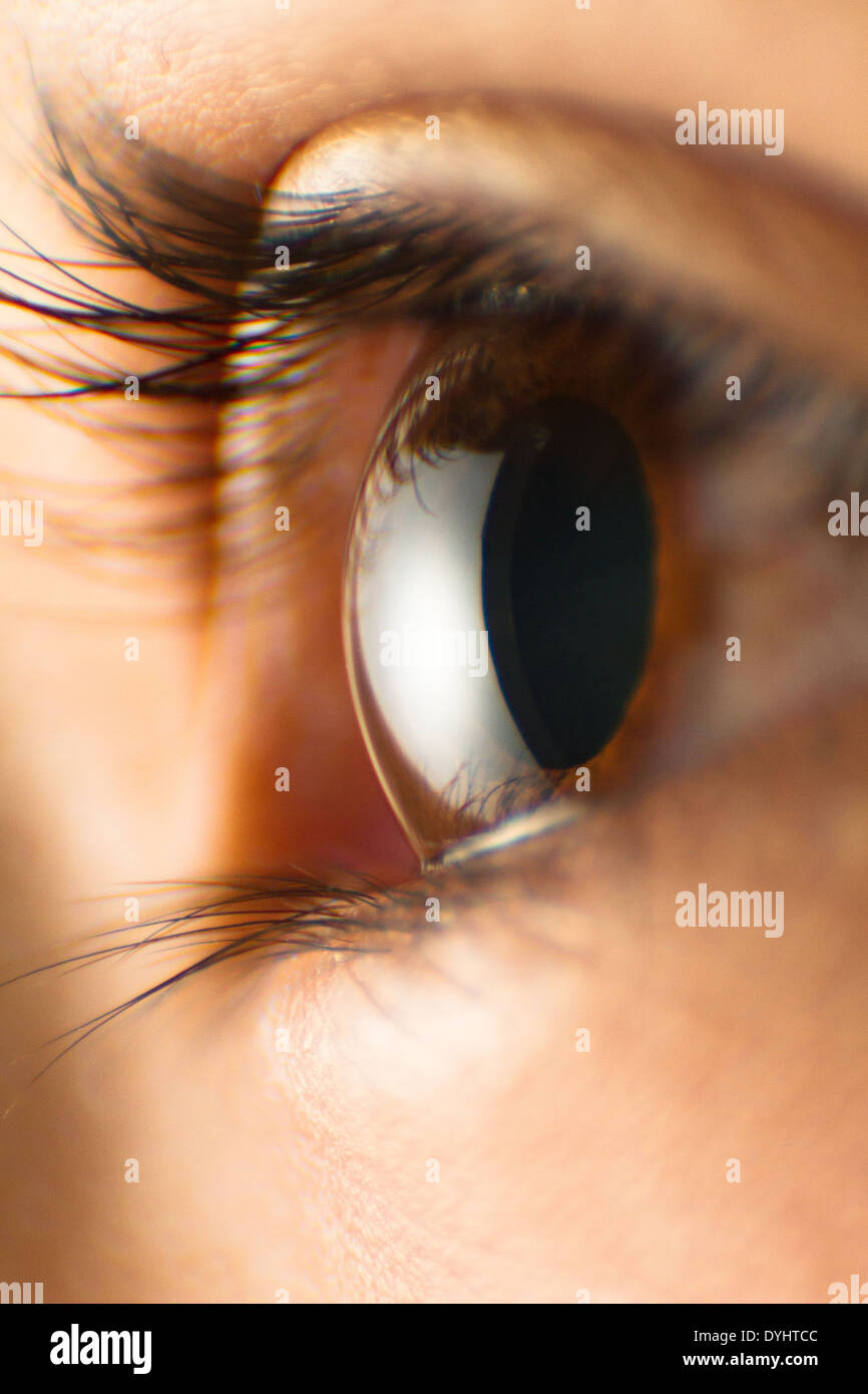 Wide open female eye close up Stock Photo - Alamy