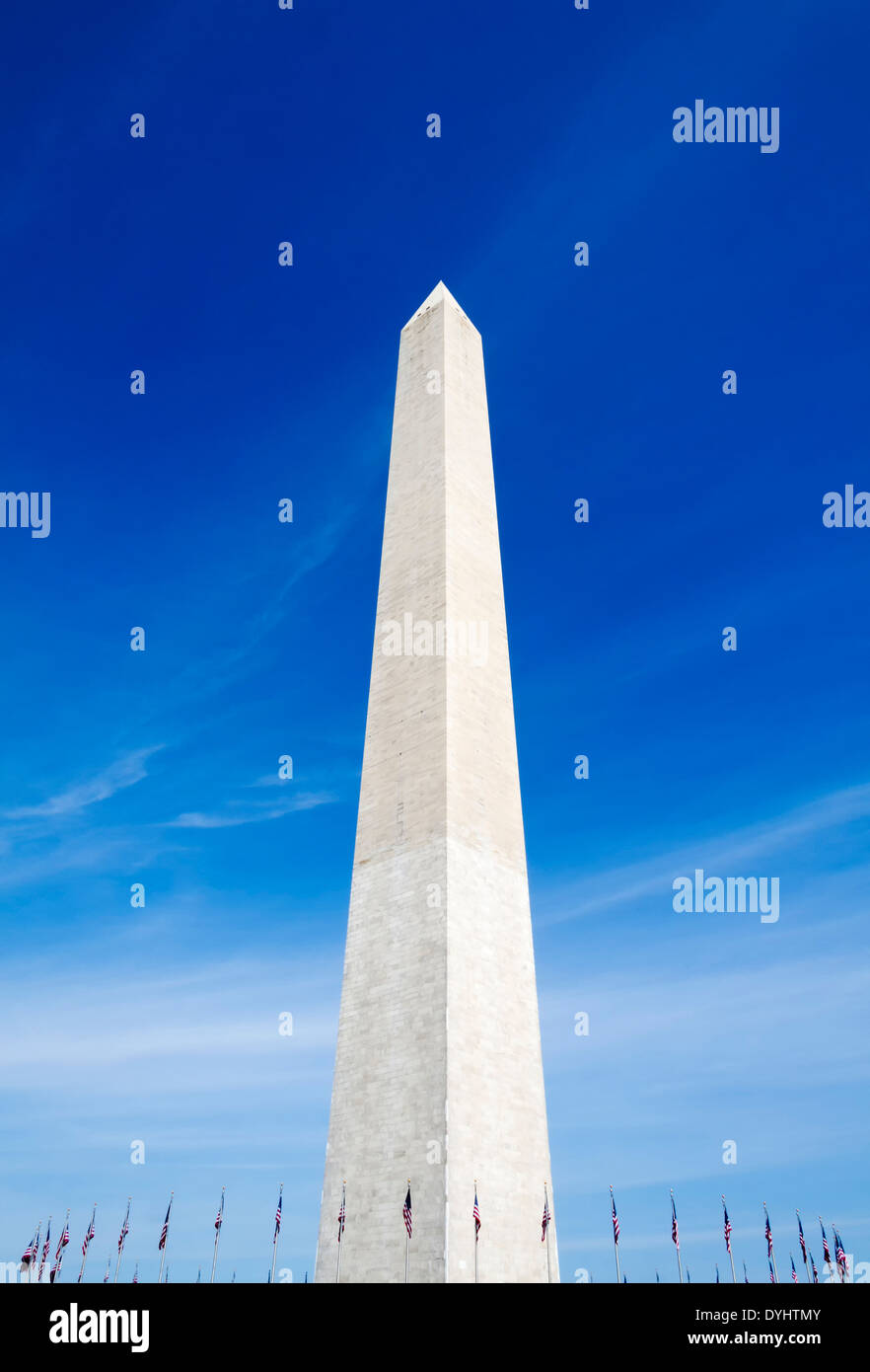 The Washington Monument surrounded with US flags in Washington D.C ...