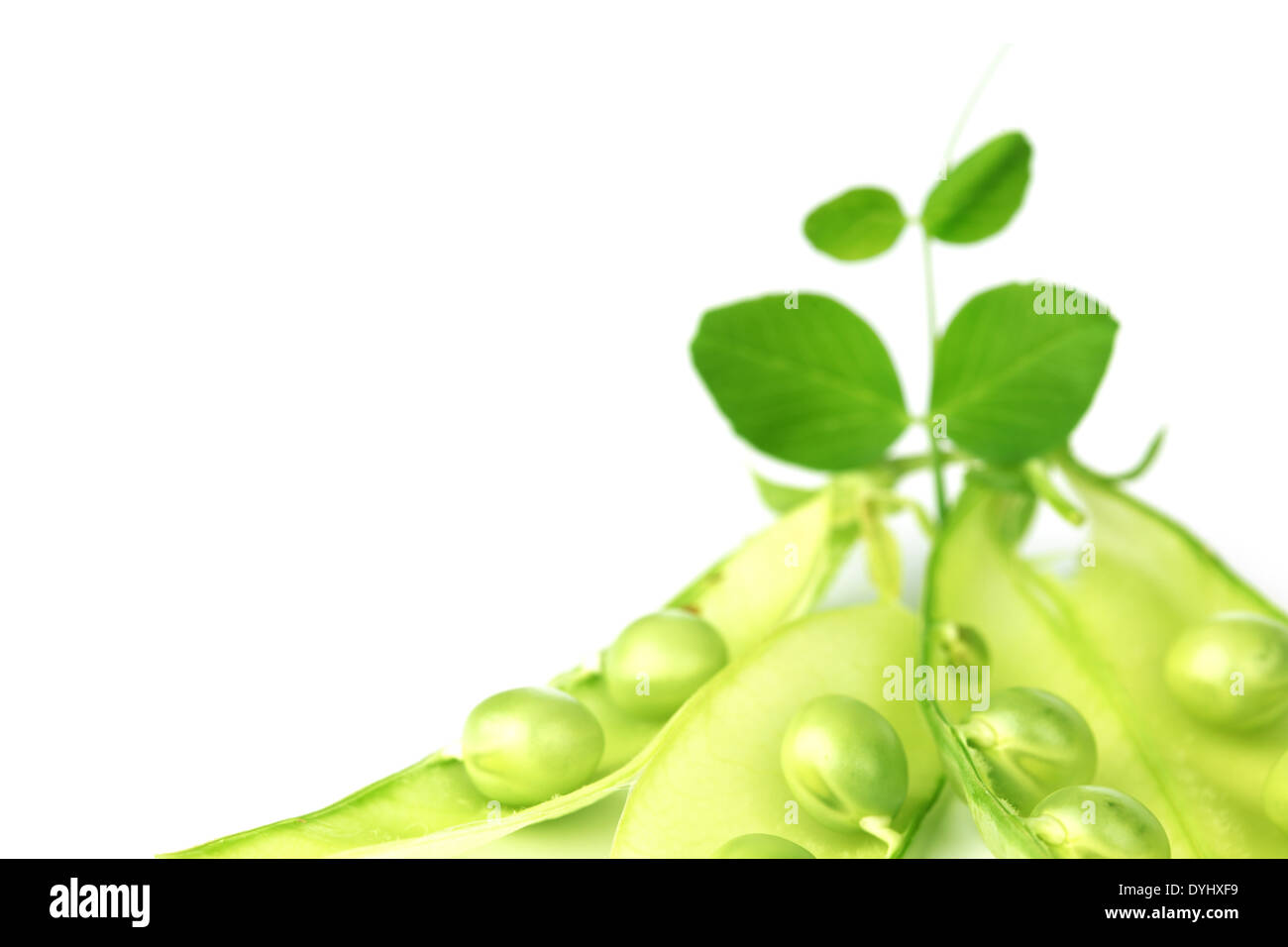 Pea and leaf isolated on white Stock Photo - Alamy