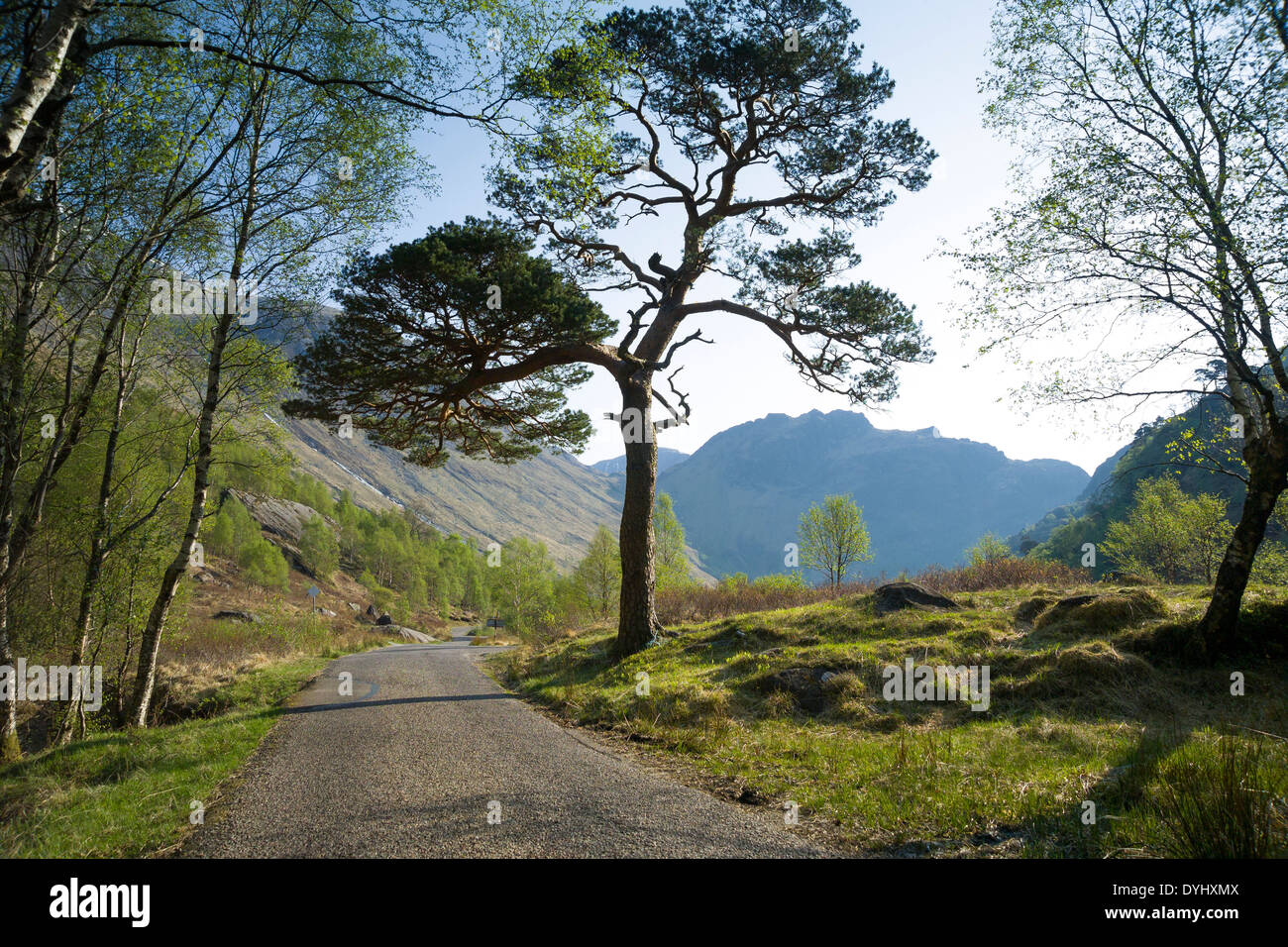 Fort william road hi-res stock photography and images - Alamy