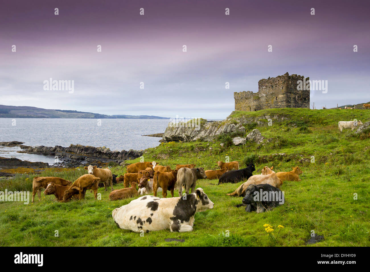 Mingary castle ardnamurchan hi-res stock photography and images - Alamy
