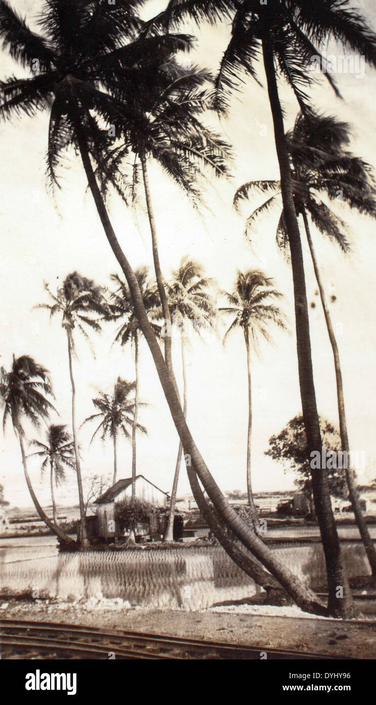 Consolidated pb4y 2 privateer hi-res stock photography and images - Alamy