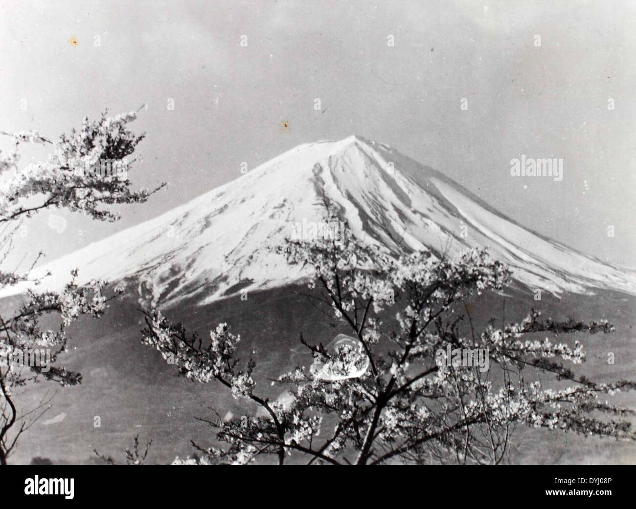 Charles Daniels' album captures a moment from World War II, showing the ...