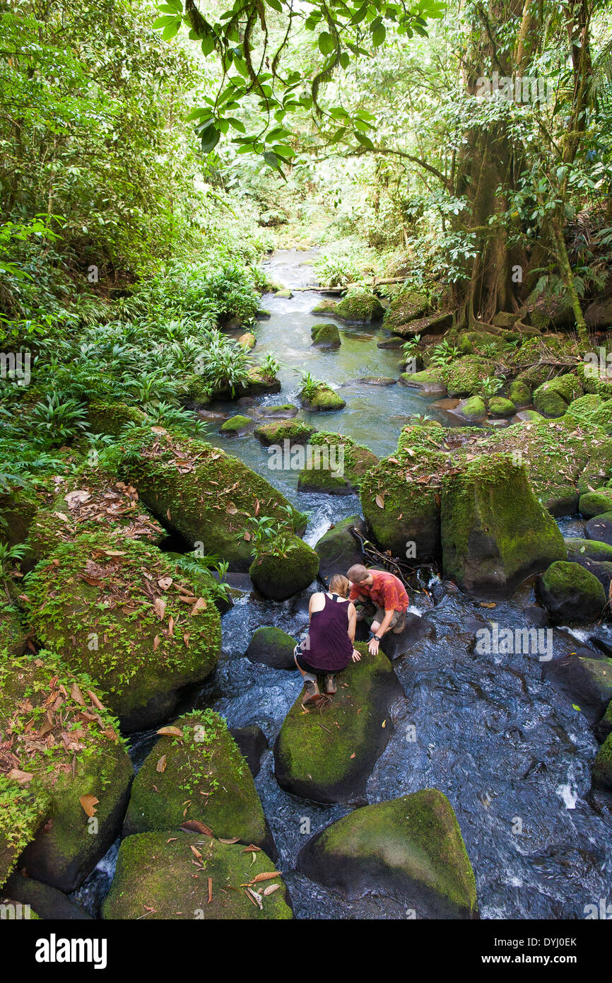 Student researchers rest on moss covered rocks in a river at La Selva ...