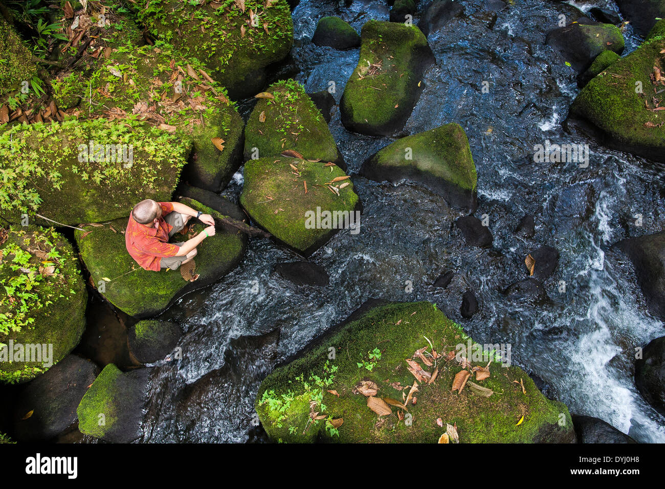 Student researchers rest on moss covered rocks in a river at La Selva ...