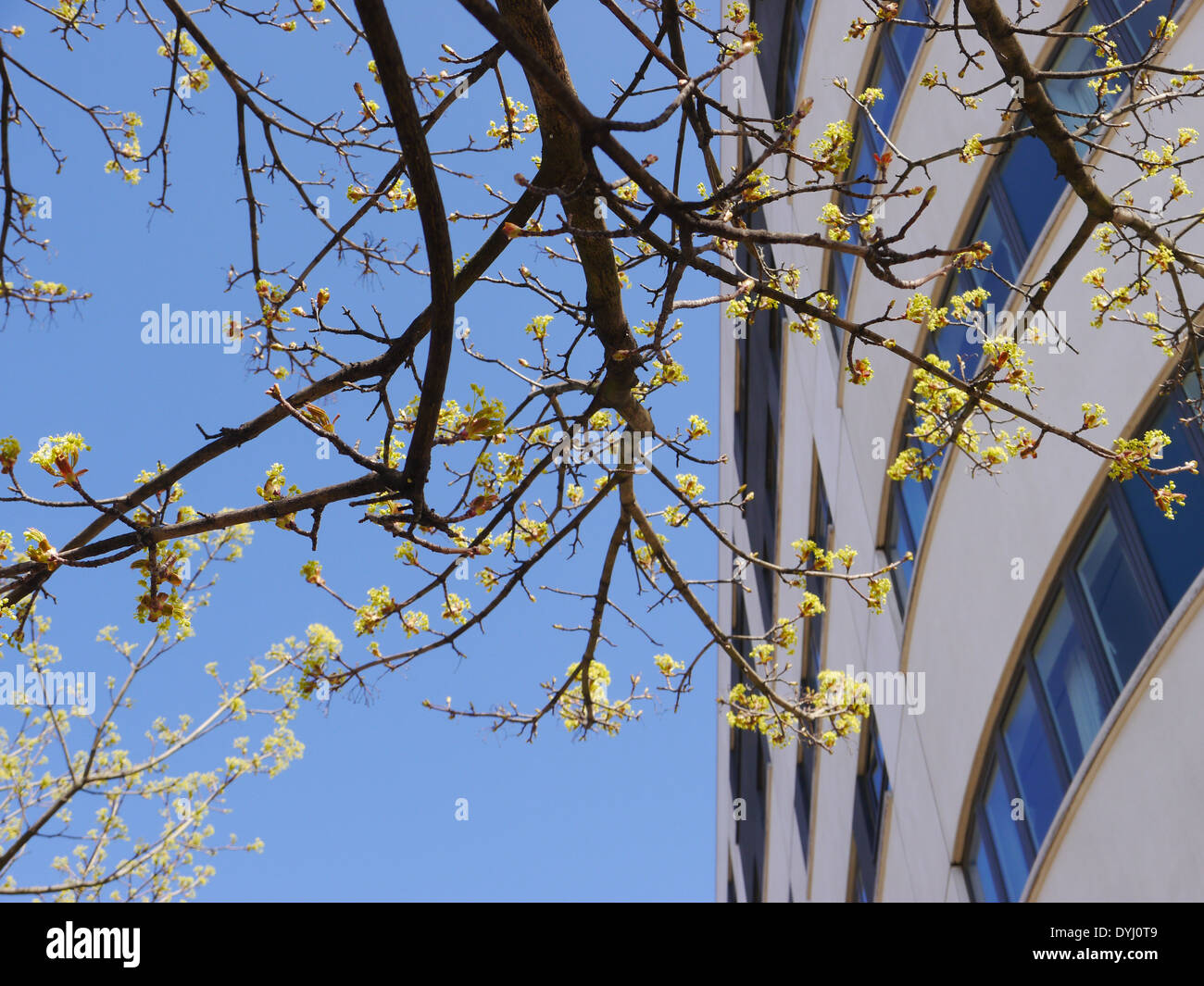 Citygate newcastle modern architecture hi-res stock photography and ...