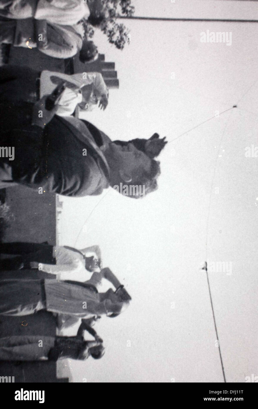 Gibbons 000064 Murph Garrold Stock Photo - Alamy