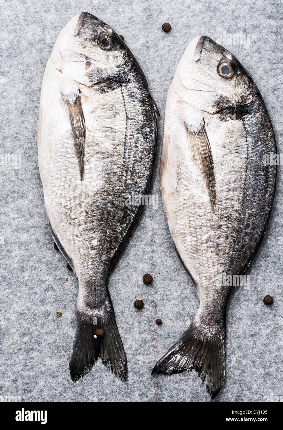 Mediterranean fish delicacy Dorado Stock Photo - Alamy