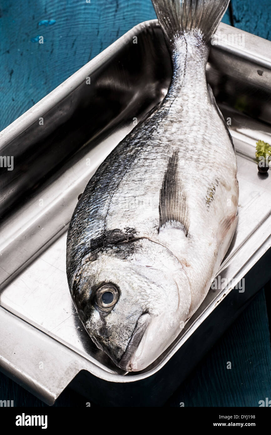 Mediterranean fish delicacy Dorado Stock Photo - Alamy