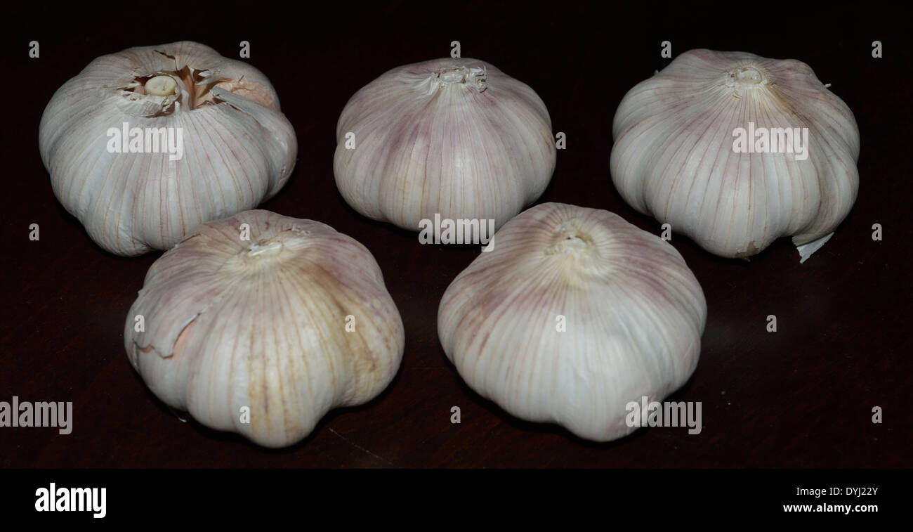 Five Whole Garlic Stock Photo - Alamy
