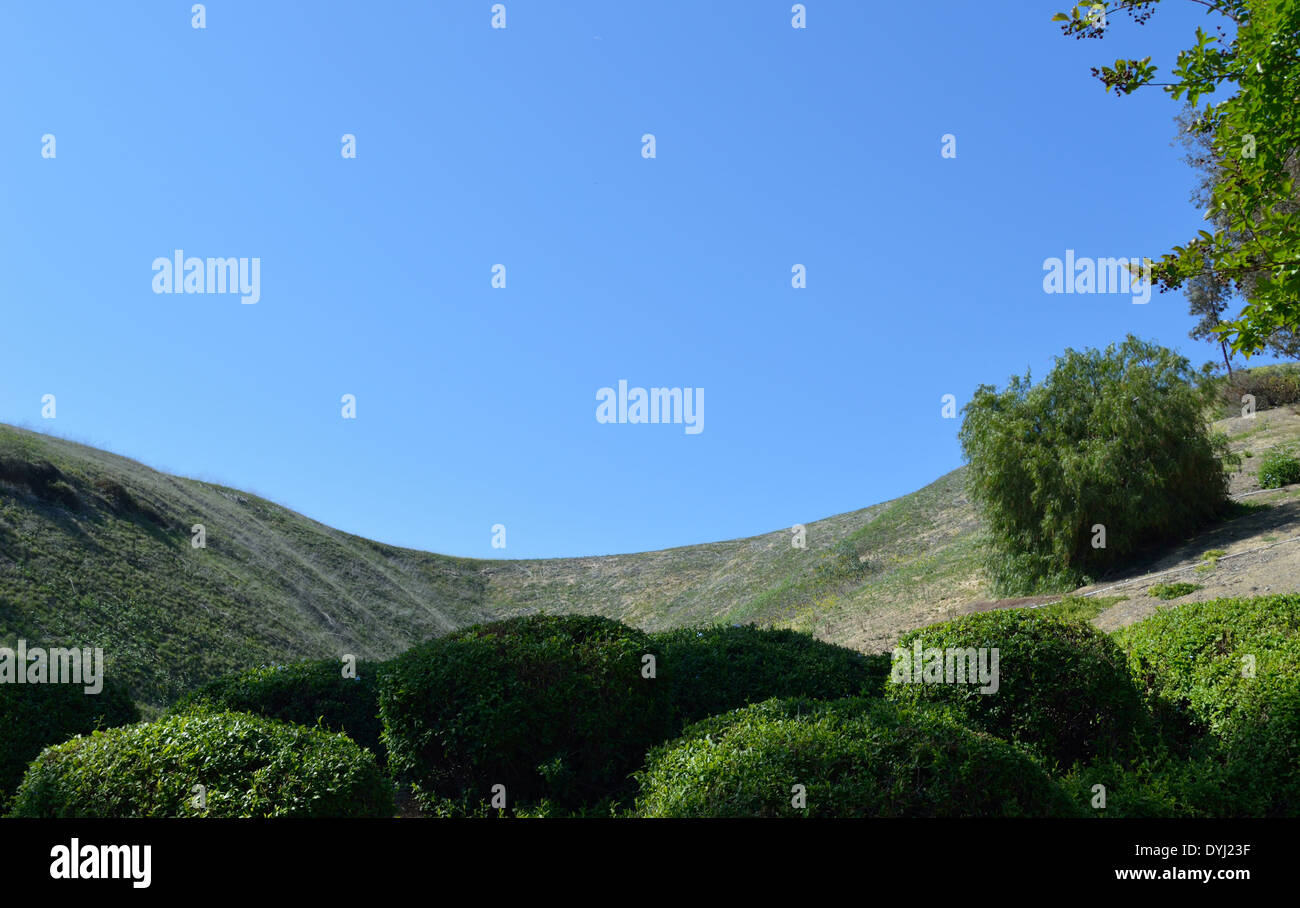 Concave Hillside and Bushes Stock Photo - Alamy