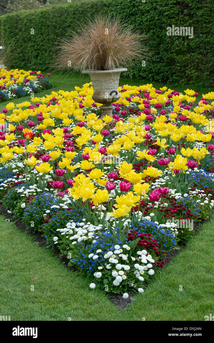 Spring flower displays hi-res stock photography and images - Alamy