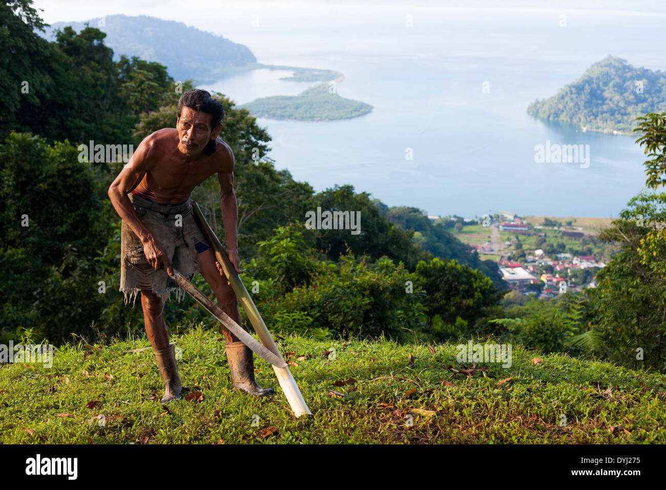 The chonta palm hi-res stock photography and images - Alamy