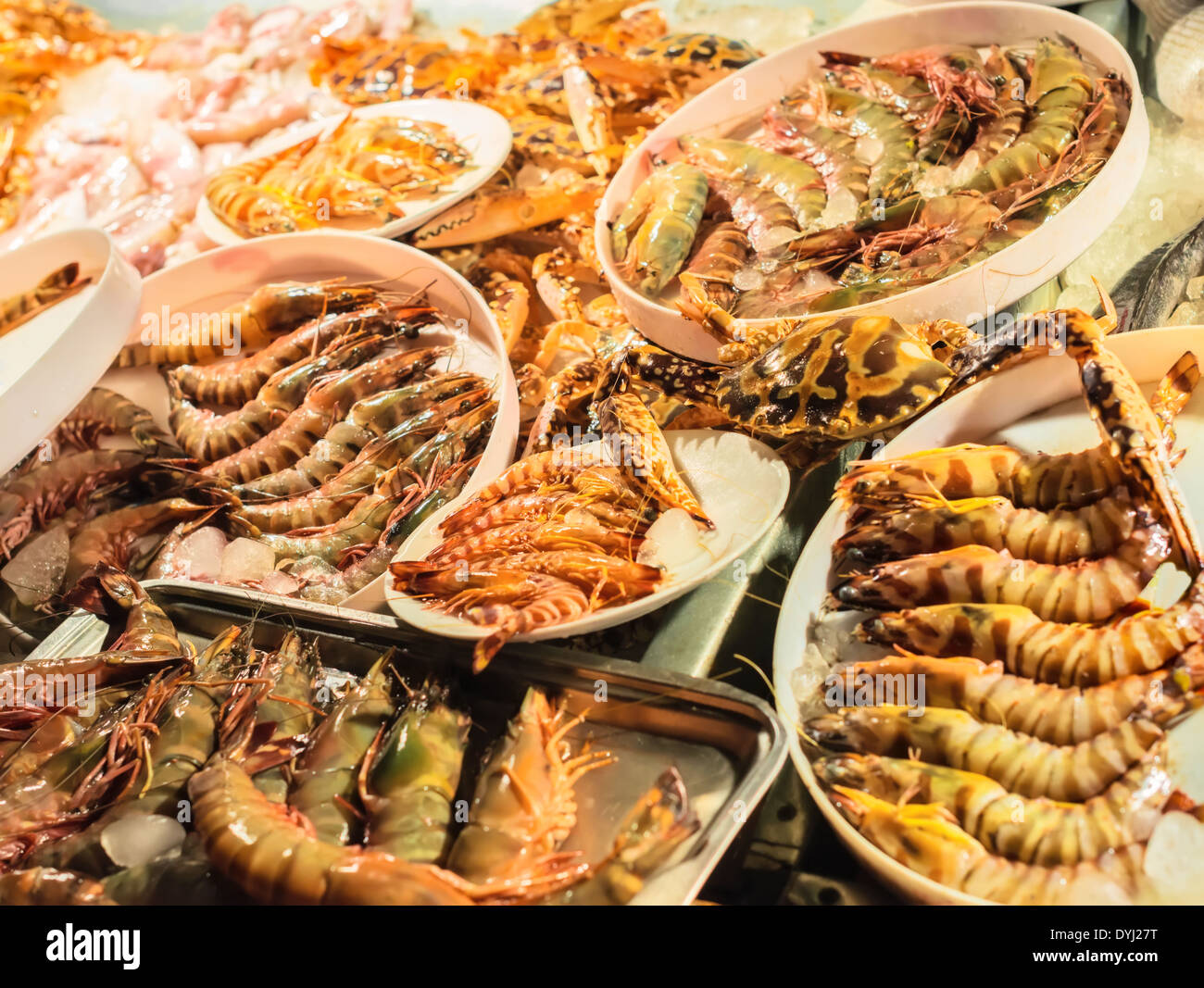 fresh-caught seafood, different types of shrimps Stock Photo - Alamy