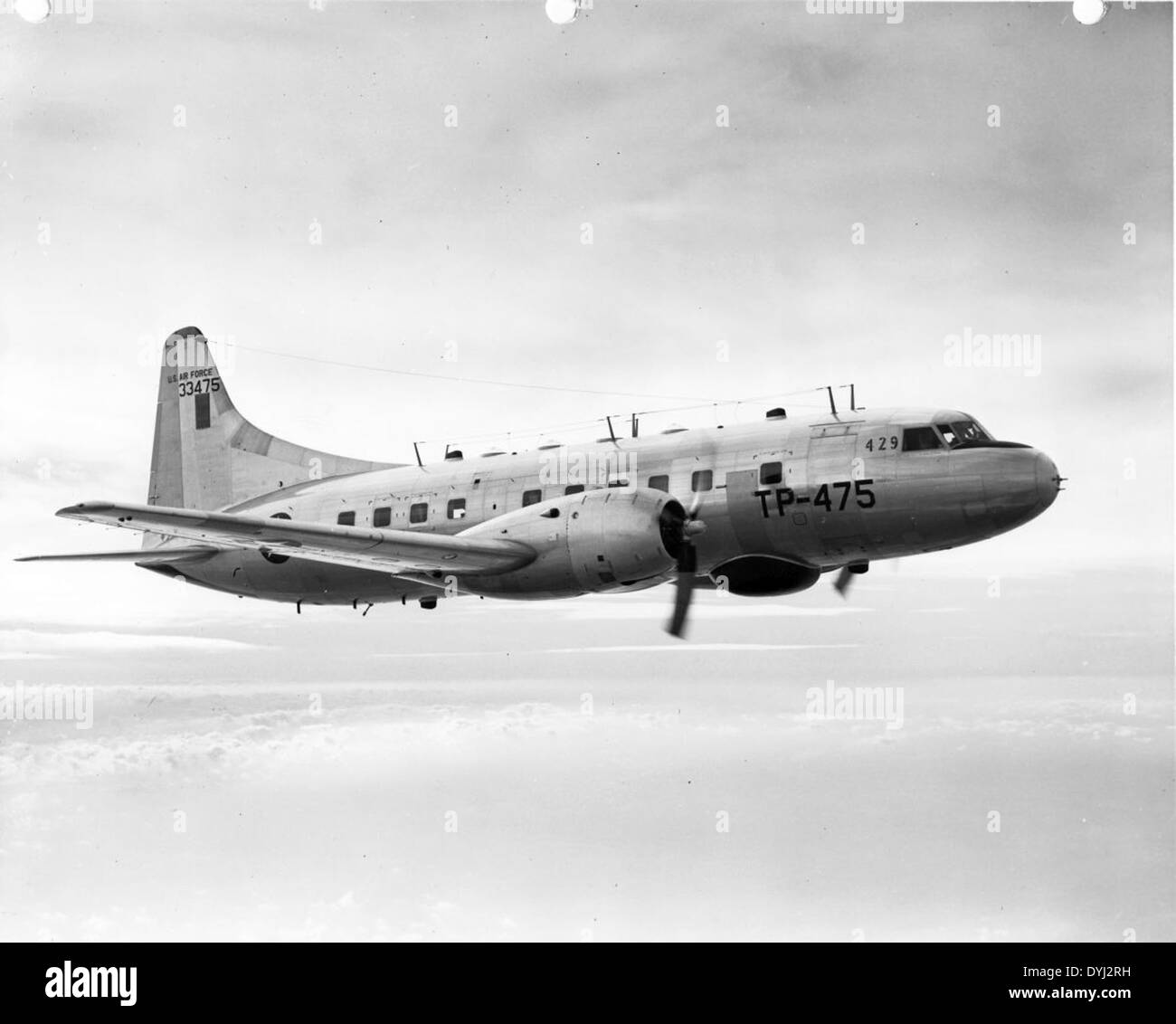 T tail Black and White Stock Photos & Images - Alamy