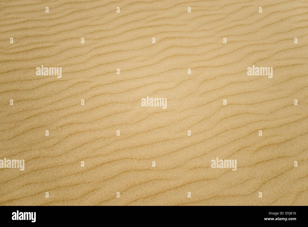 Close-up view of soft beach sand in yellow and brown colors with gentle ...
